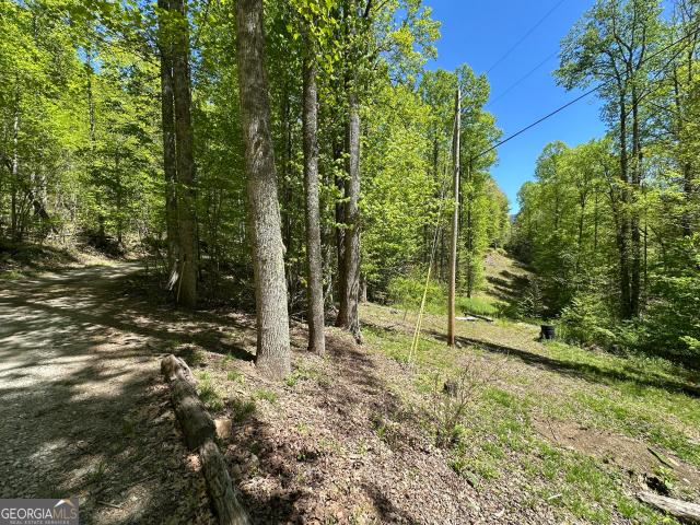 0 Buck Knob Rd, Scaly Mountain, NC 28775 | MLS #10724