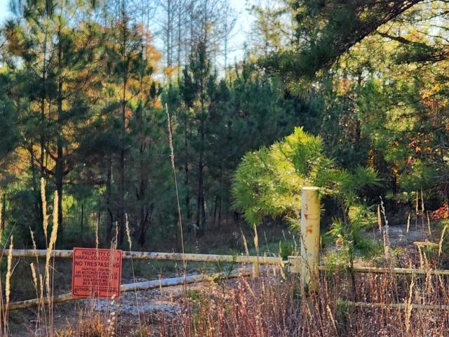 0 Budapest Rd, Tallapoosa, GA 30176 | MLS #1522