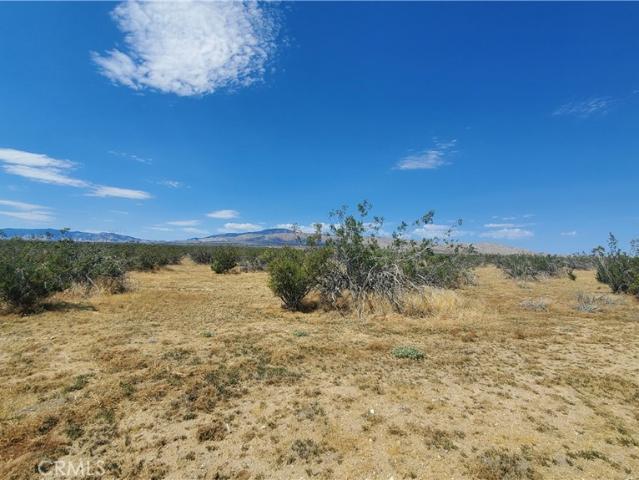 0 Budlong Ave, Rosamond, CA 93560 | MLS #SR23171