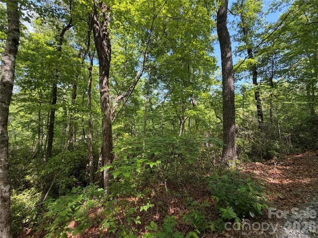 0 Buffalo Shoals Road # 1