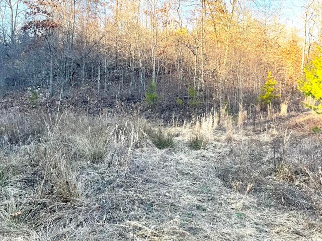 0 Bull Hollow Road