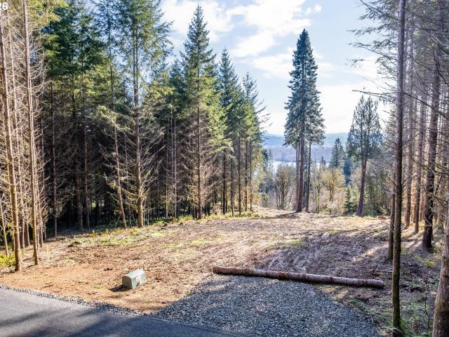 0 Bunker Hill Rd, Unit B, Longview, WA 98632 | MLS #124681 | Compass