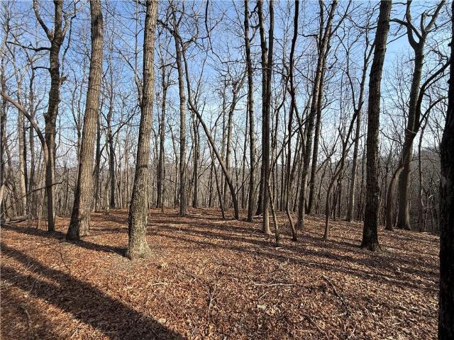 0 Burnt Mountain Cove Rd, Jasper, GA 30143 | MLS #7749