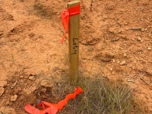 0 Burchette Lot 3 Road