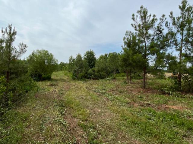 0 Burchette Road Lot 2 Road