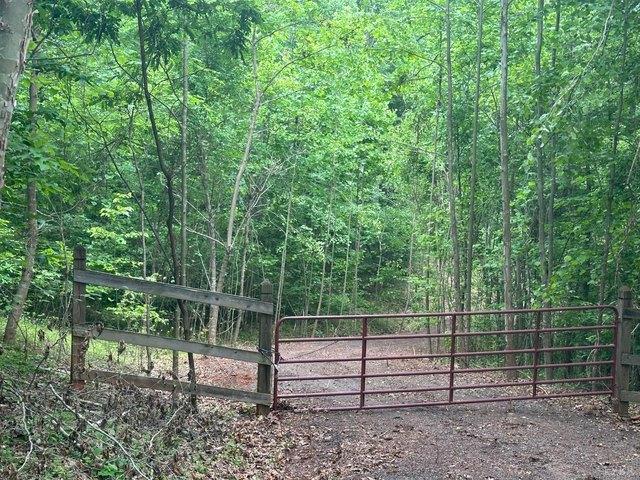 0 Burgess Rd Lot D, Madison Heights, VA 24572