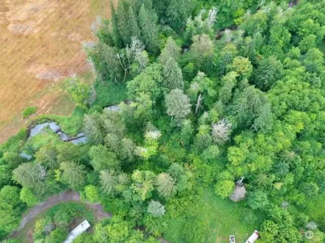 0 Burton Creek Rd, White Pass, WA 98937 MLS 2141665