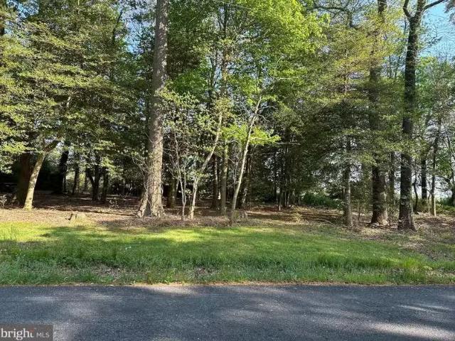 0 Burton Farm Rd, Frankford, DE 19945 MLS DESU2061366