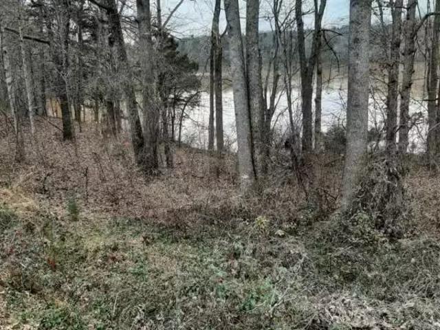 0 BURTON LAKE ROAD, CHATHAM, VA 24531 Vacant Land For Sale ML.