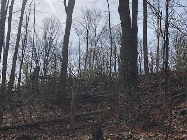 0 Butler Ridge, Unit 26, Hendersonville, NC 28792 | MLS #4327