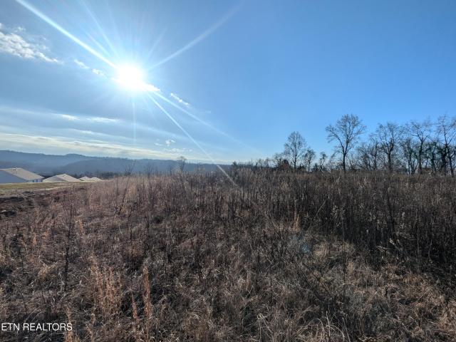 0 Buttermilk Rd