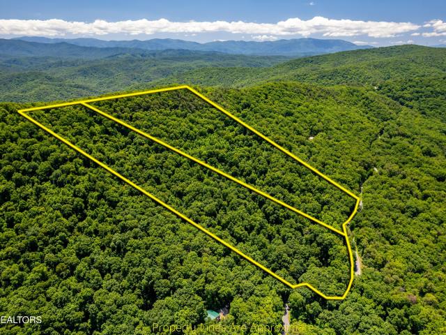0 Butterfly Gap Rd