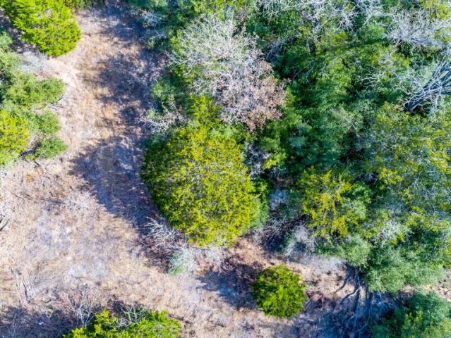 0 B J Mayes Rd, Bastrop, TX 78602 | MLS #8677