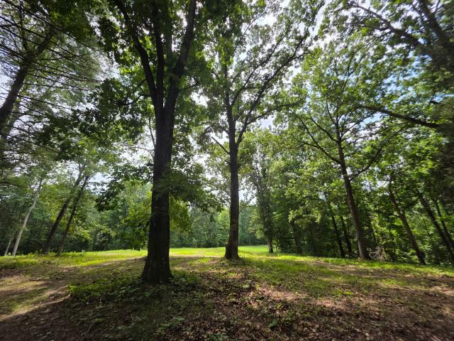 0 Baggett Hollow, Palmyra, TN 37142 | MLS #3052