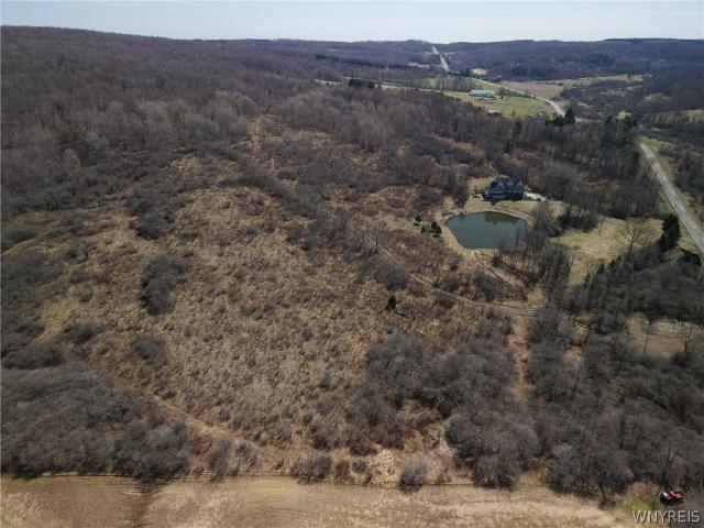 0 Bakerstand Rd, Machias, NY 14101 | MLS #B1675