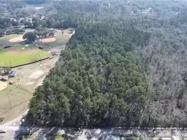 0 BALDWIN ROAD, SATSUMA, AL 36572 Vacant Land For Sale MLS# 7.