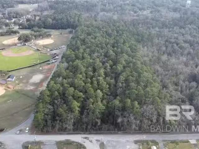 0 BALDWIN ROAD, SATSUMA, AL 36572 Vacant Land For Sale MLS# 3.