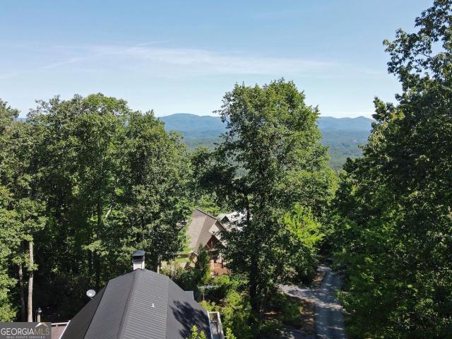 0 Bald Eagle Path