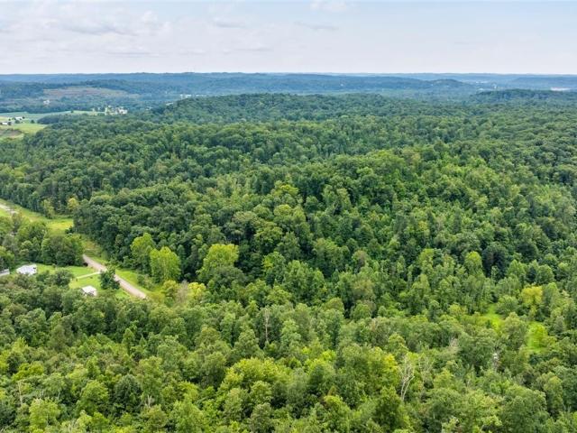 0 Bald Knob Stiversville Road