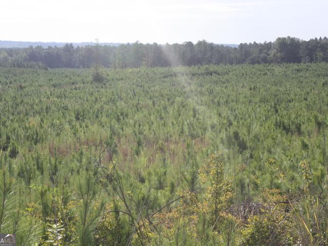 0 Balerma Church Road TRACT 1