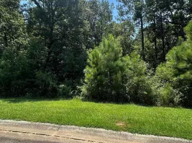 0 Ballentine Ct, North Augusta, SC 29860 MLS 532828