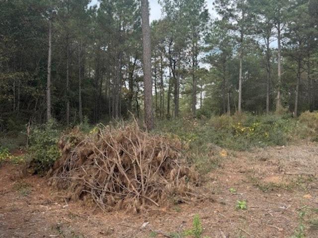 0 Basswood Ln, Plantersville, TX 77363 | MLS #81917 | Compass