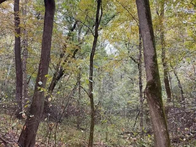0 Baptist Church Rd, Culleoka, TN 38451 | MLS #3184 | Compass
