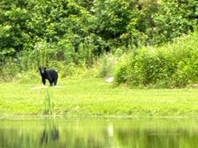 0 Barnes Hollow Rd