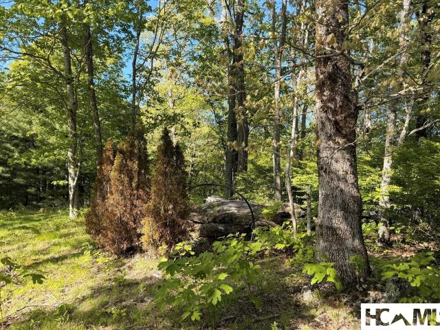 0 Bartram Ridge Dr