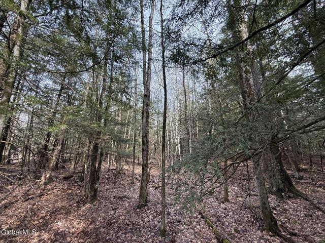 0 Becker Rd, Middleburgh, NY 12122 | MLS #202614 | Compass