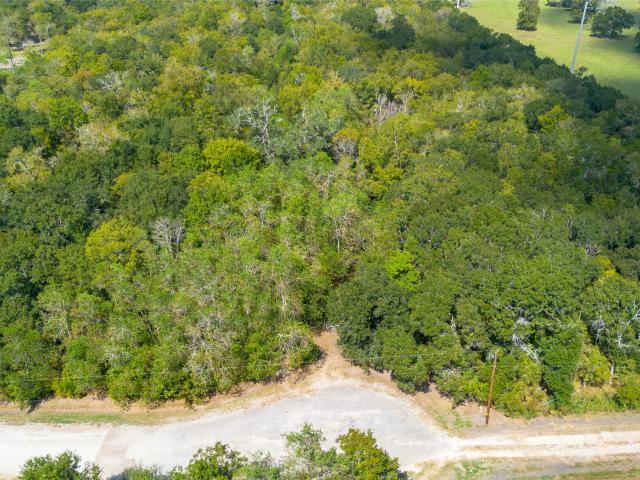 0 Bear Bottom Dr, Wharton, TX 77488 | MLS #9475