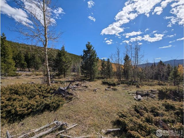 0 Bear Gulch Rd, Red Feather Lakes, CO 80545 | MLS #1047