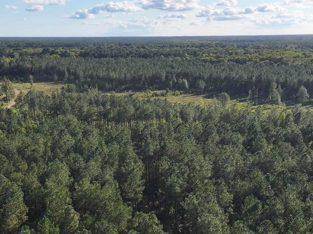 0 Bear Swamp Rd, Parsonsburg, MD 21849 | MLS #MDWC2022