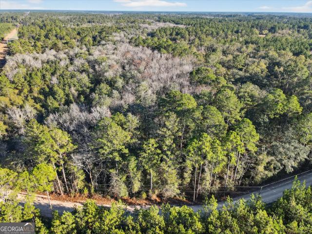 0 Beautiful Zion Cemetary Rd, Pembroke, GA 31321 | MLS #10675