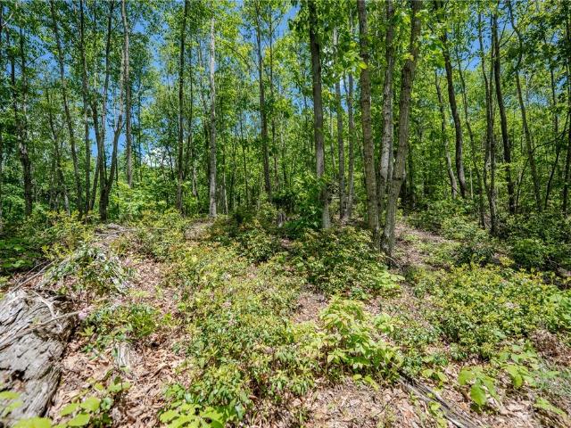 0 Beaver Dam Road