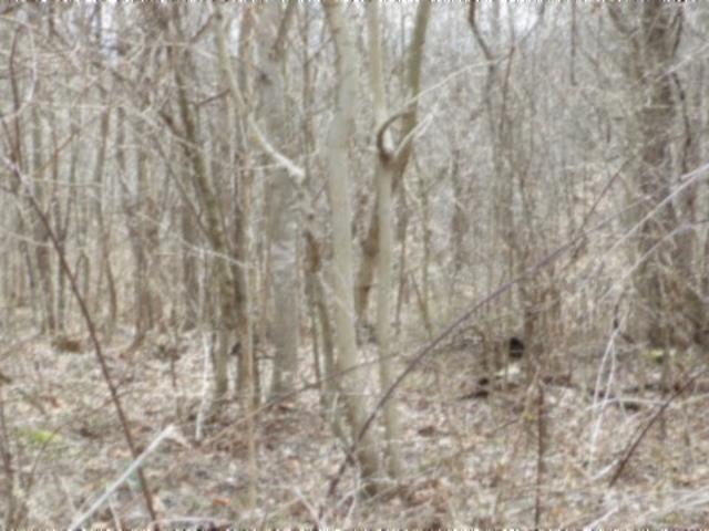 0 Beaver Lane
