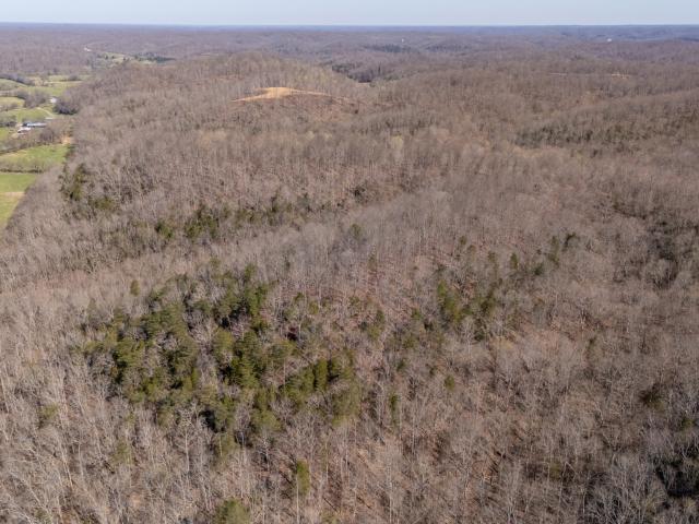 0 Bedford Creek Rd, Franklin, TN 37064 | MLS #3078