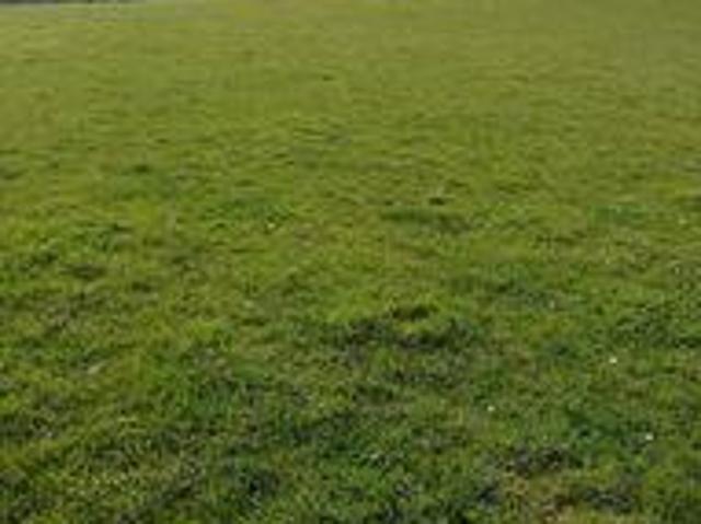 0 Bedrooms Land for sale in Carnwath, Lanark ML11