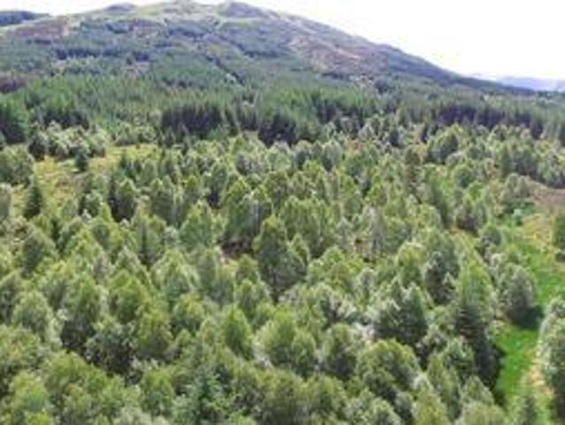 0 Bedrooms Land for sale in Gartnafuaran, Balquhidder, Stirlingshire FK19