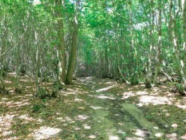 0 Bedrooms Land for sale in Stodham Lane, Liss GU33