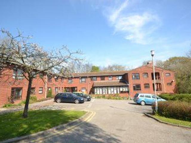 0 Bedrooms Studio for rent in Willow Glen, Upper Glen Road, St Leonards On Sea TN37