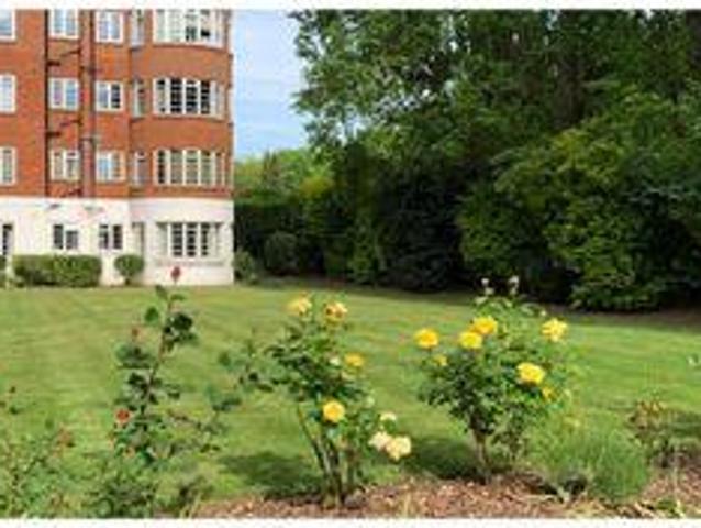 0 Bedrooms Studio for rent in Wyke Road, Wimbledon SW20