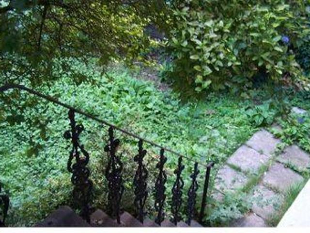 0 Bedrooms Studio for rent in Glazbury Road, London W14