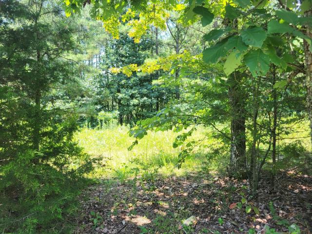 0 Beech Point Drive
