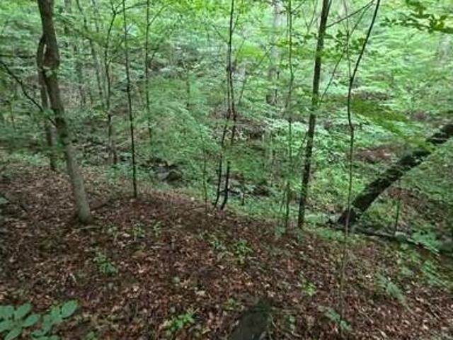 0 Beechmont Road