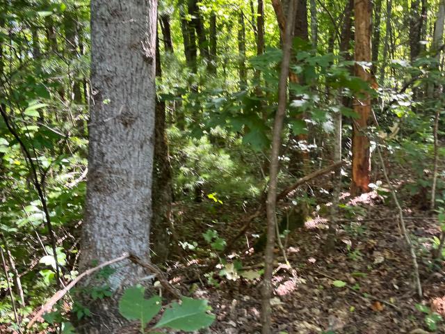 0 Beechwood Drive 25,26