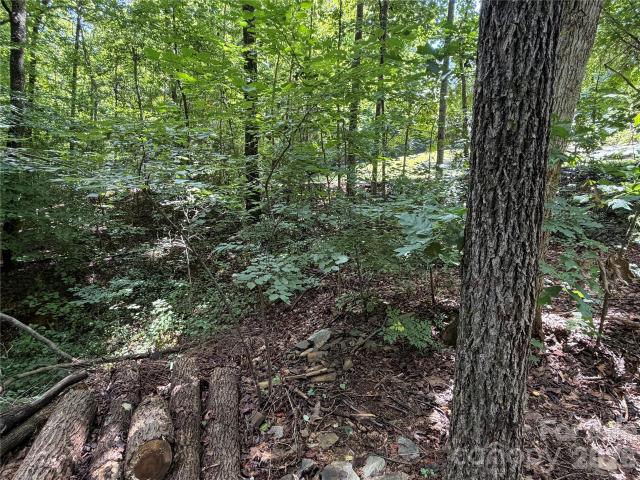 0 Beechtree Circle