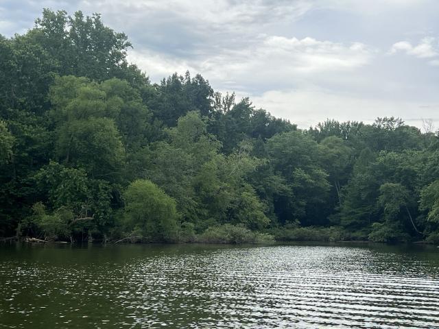 0 Beechtree Circle