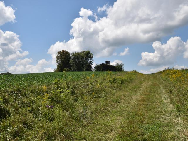 0 Beechy Creek Road # 0