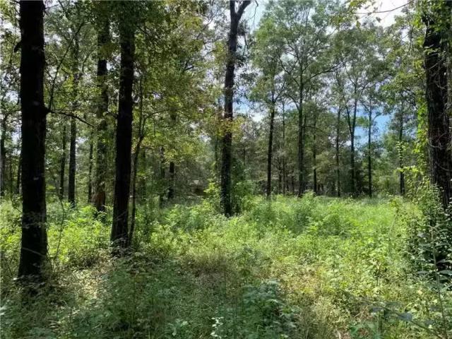 0 BELL DRIVE # 5, CREOLA, AL 36525 Single Family Residence For.